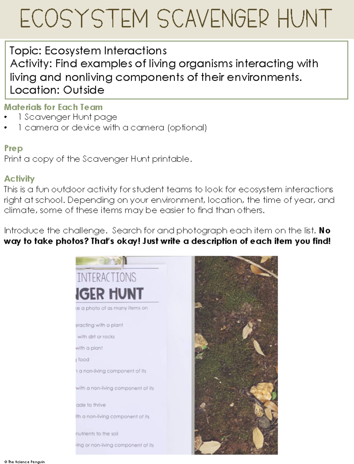 Landon Sawyer - Ecosystems Interactions Scavenger Hunt - Topic ...