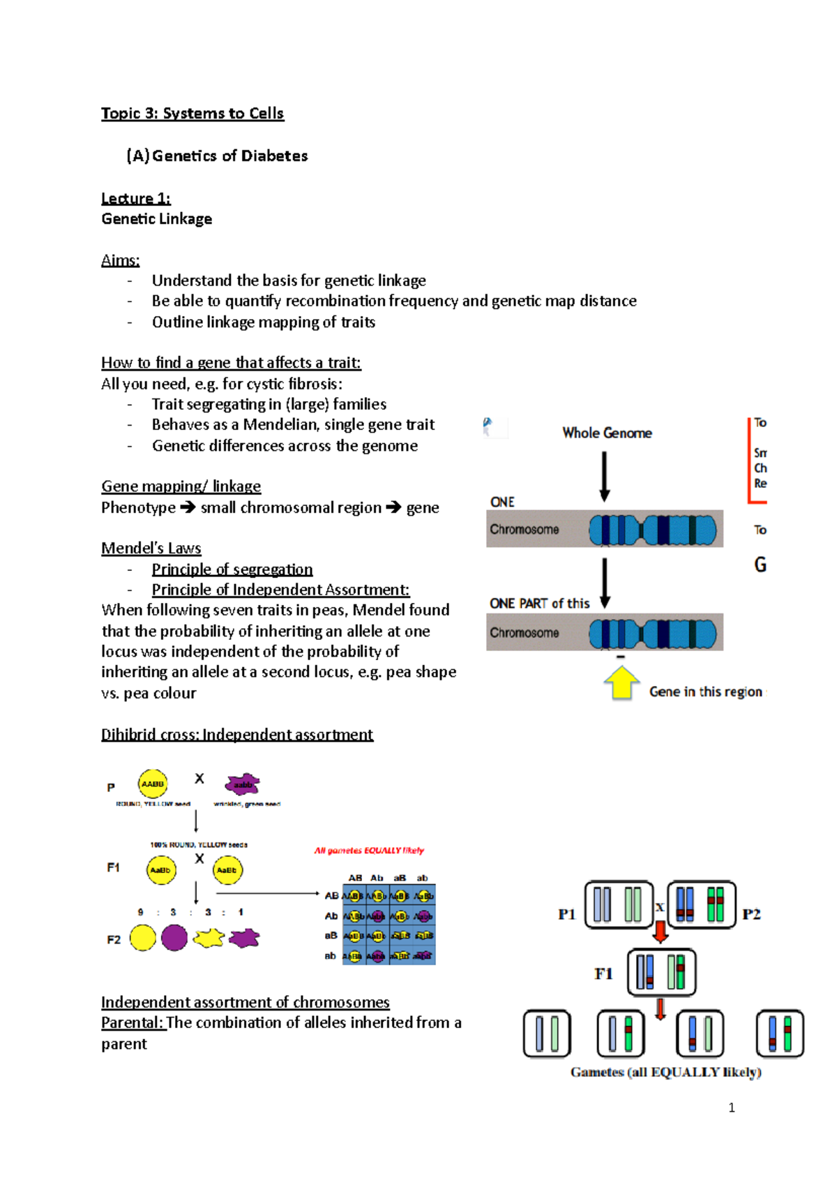 System to Cells - Topic 3: Systems to Cells (A) Genetics of Diabetes ...