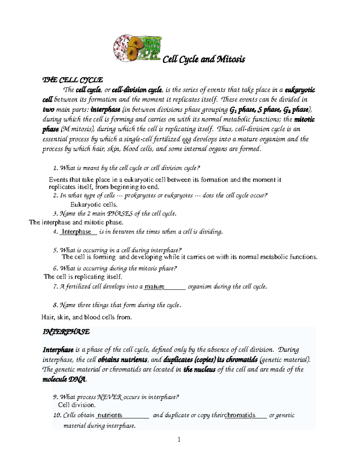 Cell cycle & mitosis (1) - Cell Cycle and Mitosis THE CELL CYCLE The ...