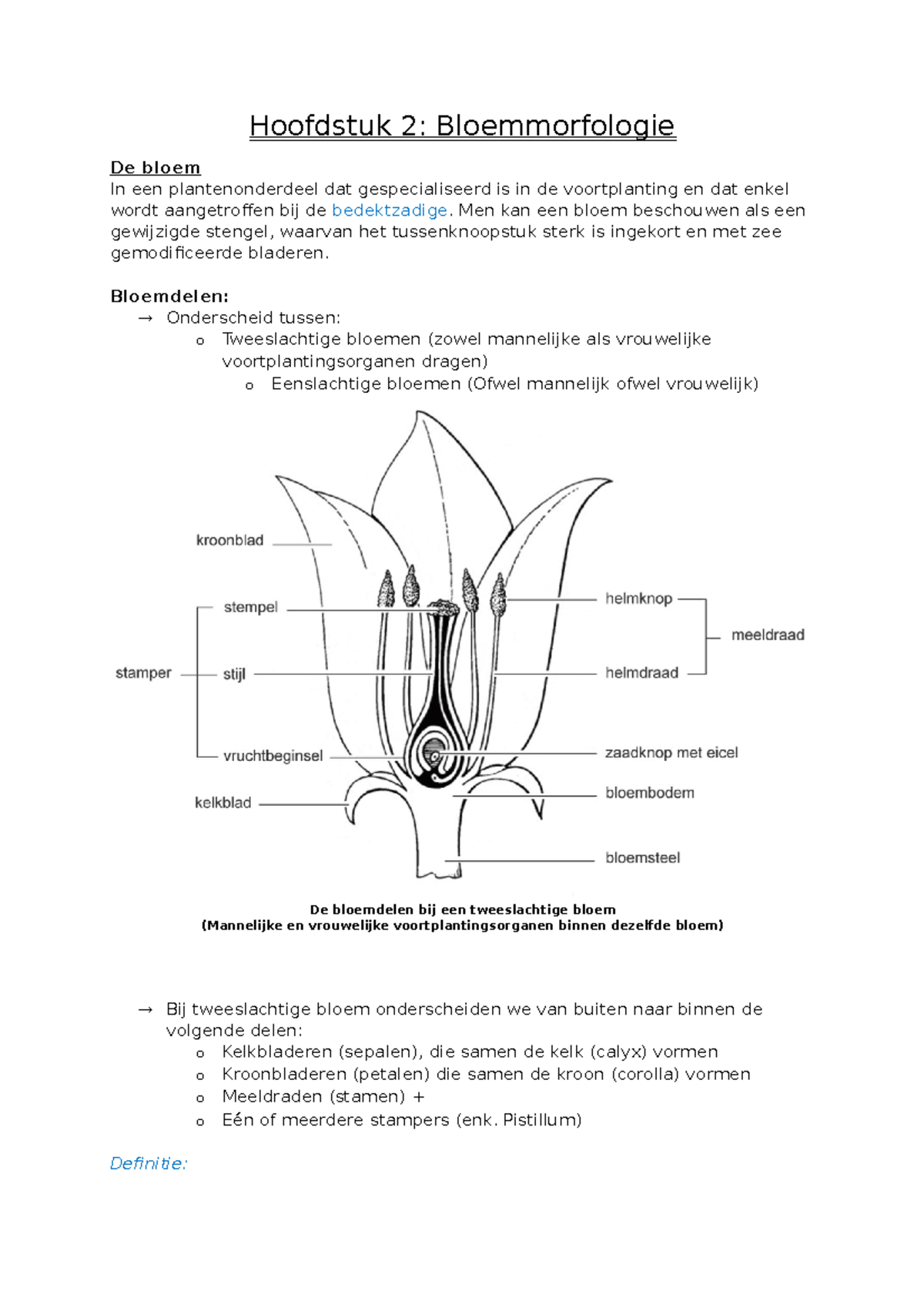 Hoofdstuk 2 - Morfologie bloem - Hoofdstuk 2: Bloemmorfologie De bloem ...