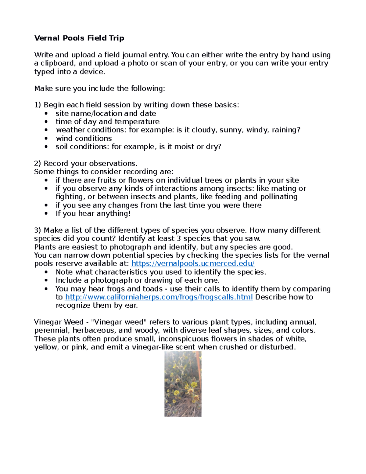 F23 Natural history journal entry WS - Vernal Pools Field Trip Write ...