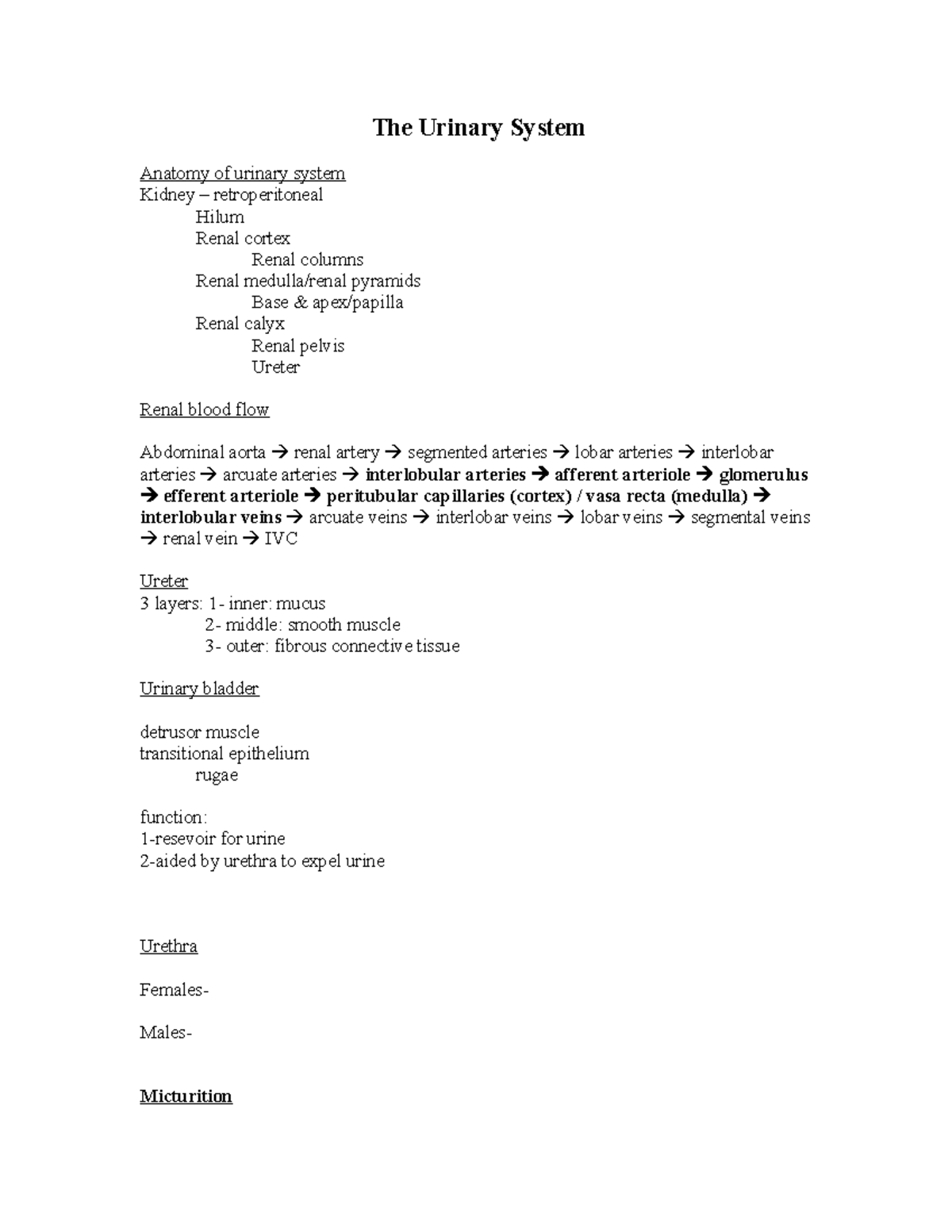 The Urinary System - lecture notes - The Urinary System Anatomy of ...