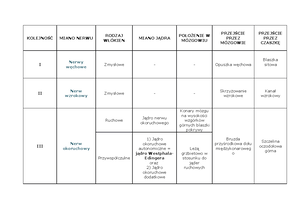 Stawy kończyny górnej - Staw mostkowo-obojczykowy Typ stawu: kulisty ...