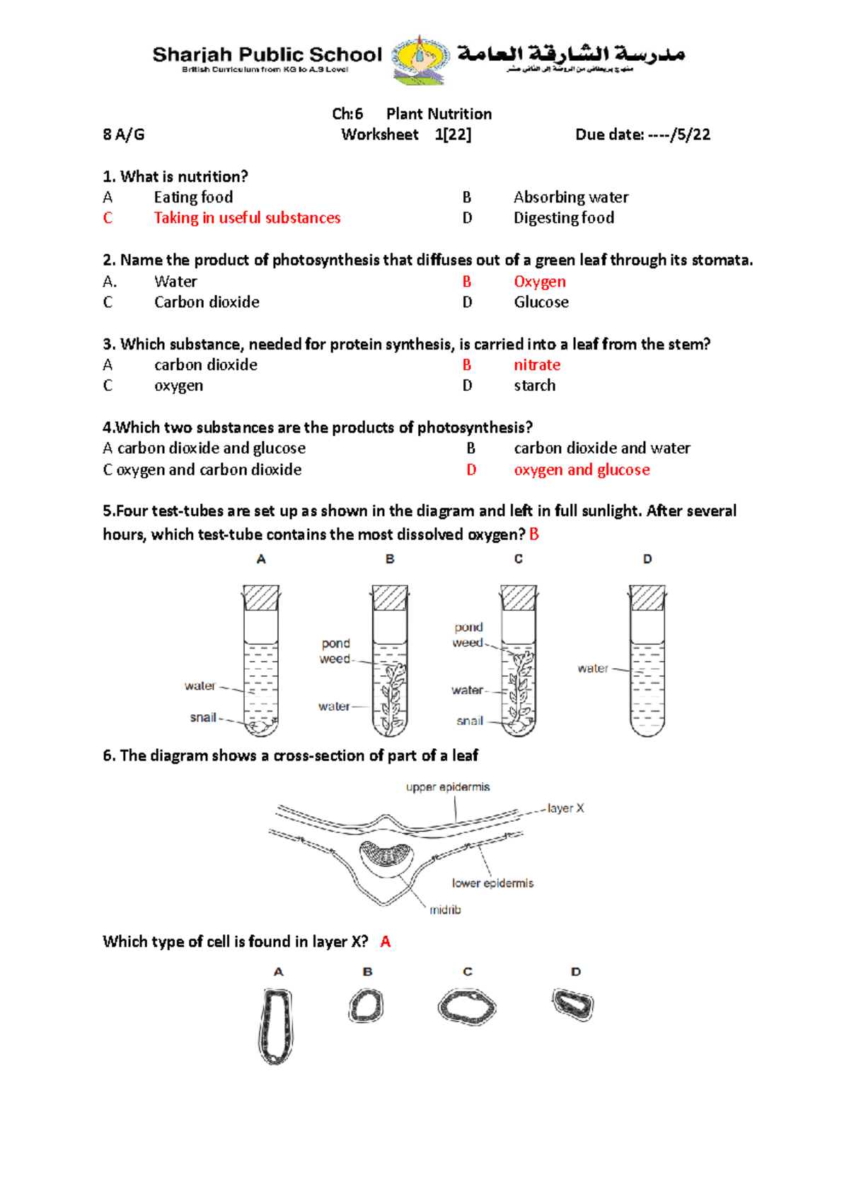 Ch 6 Plant Nutration Worksheet 1 Ans Key - Ch:6 Plant Nutrition 8 A/G ...