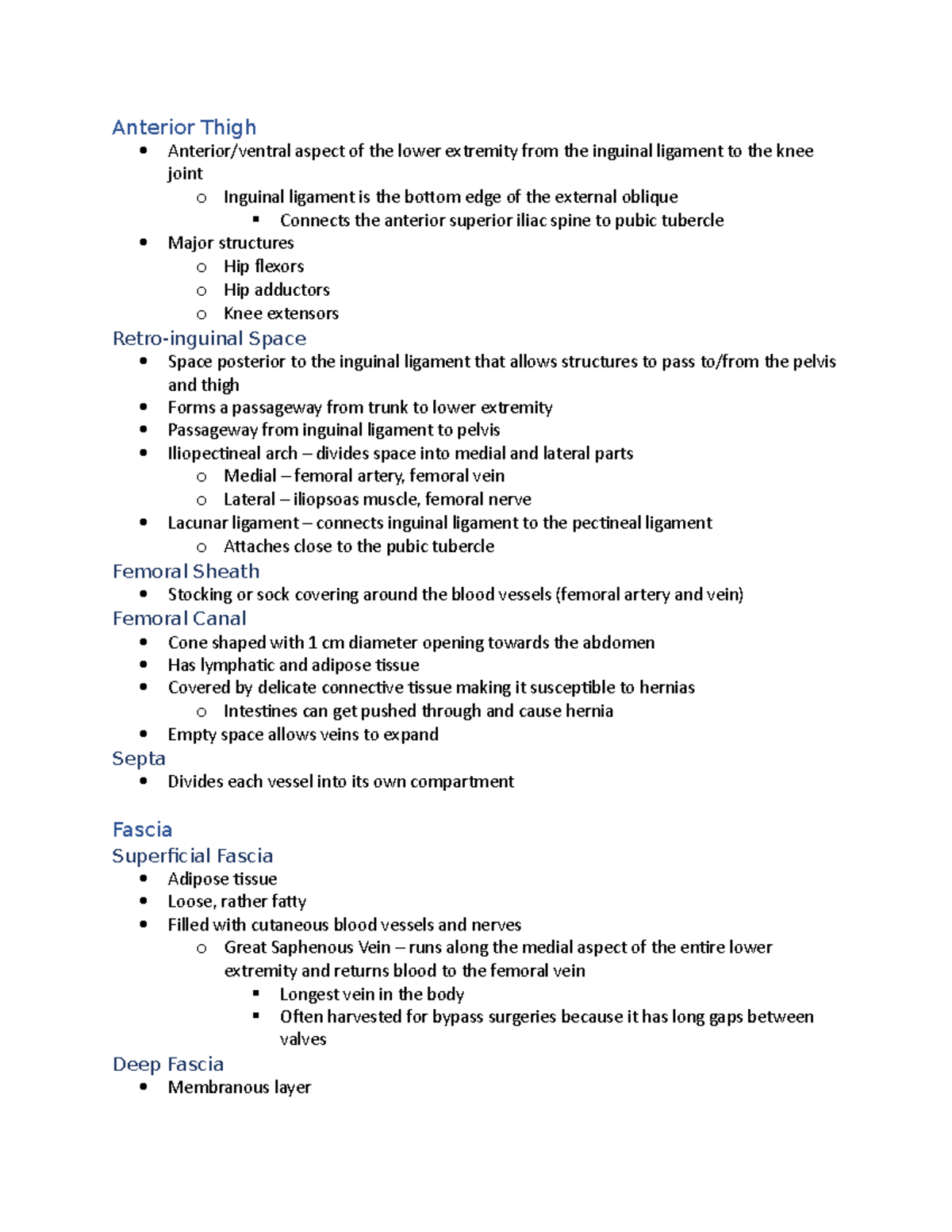 Anterior Medial Thigh Notes - Anterior Thigh Anterior/ventral aspect of ...