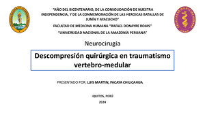 Leucoma corneal - Cano FM, Redondo YA. Leucoma corneal lineal ...