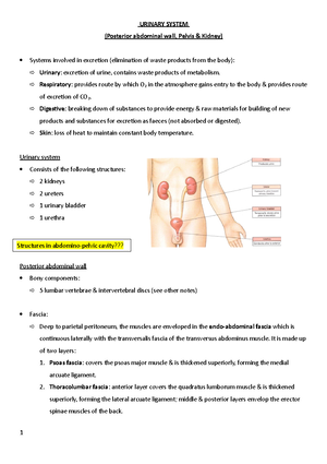 Doc1 - 12558 - Studocu