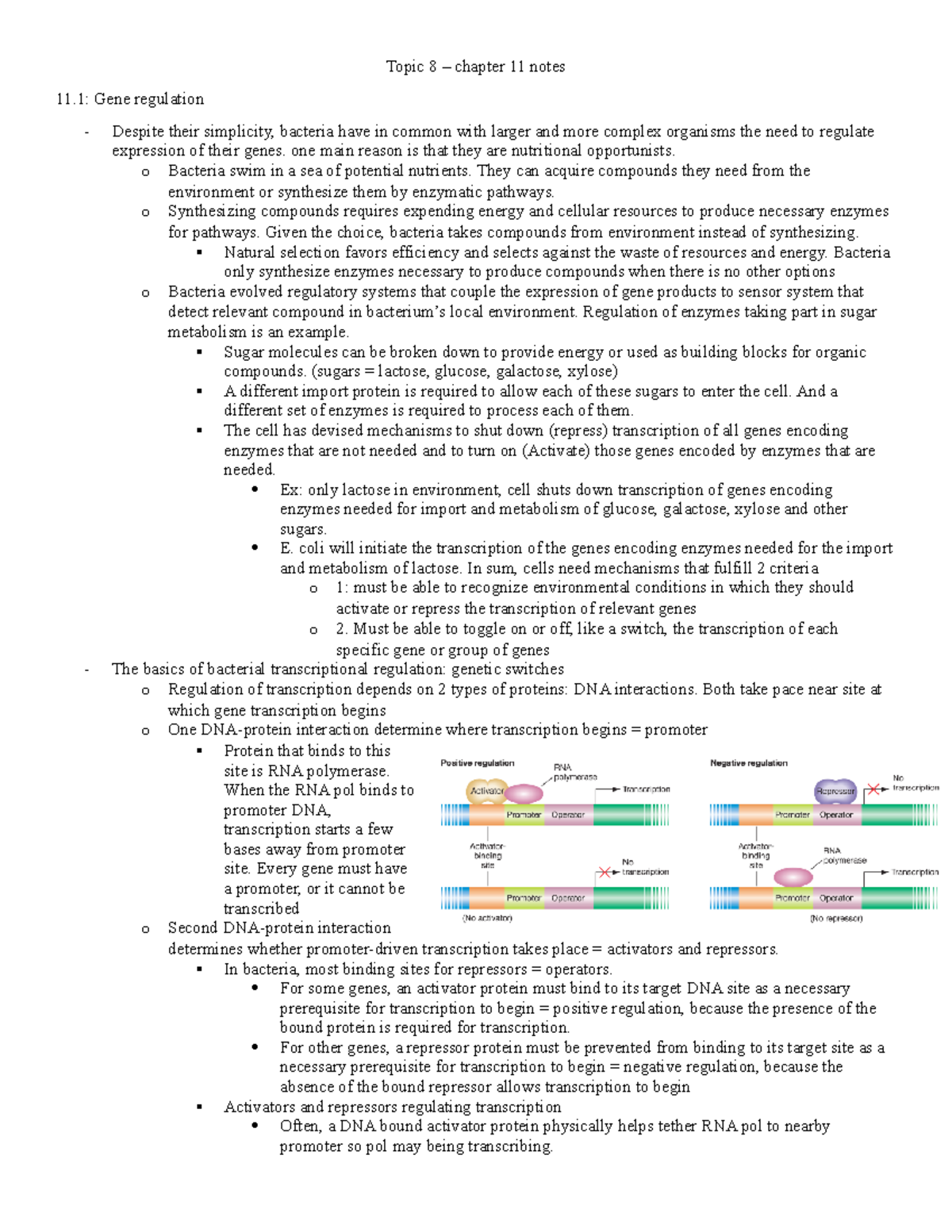 Chapter 11 notes - Topic 8 – chapter 11 notes 11: Gene regulation ...
