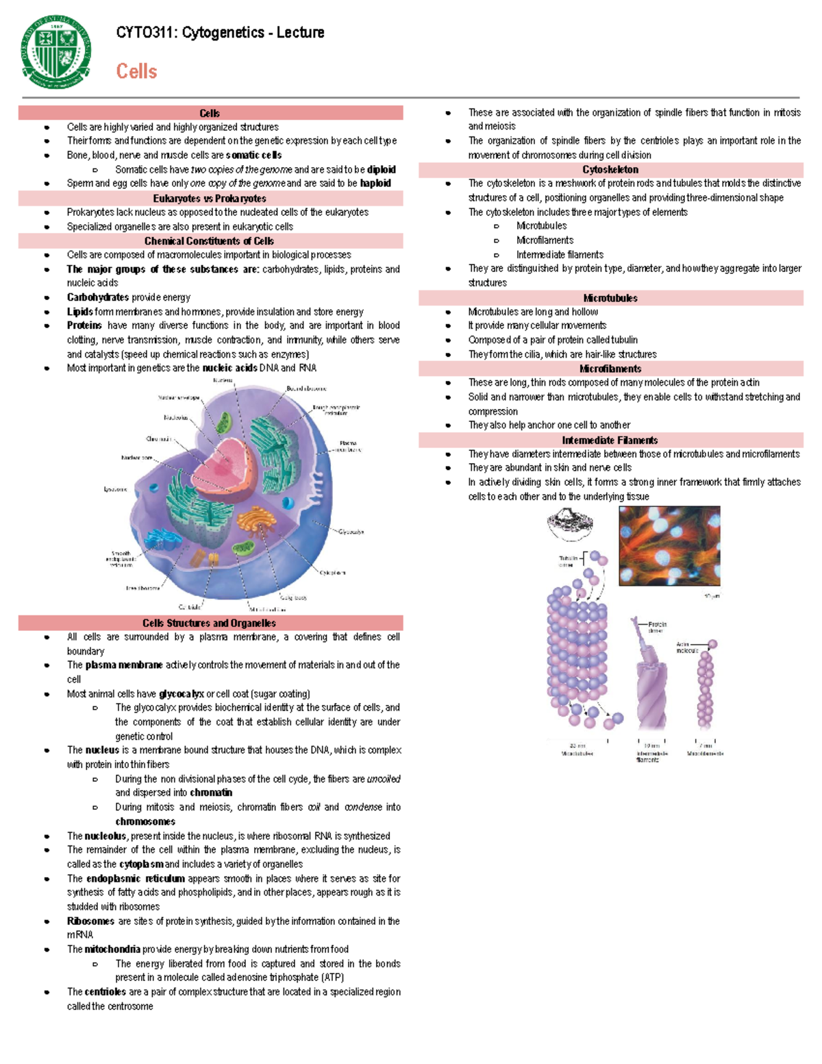 CYTO - Cells - CYTO311: Cytogenetics - Lecture Cells Cells Cells are ...