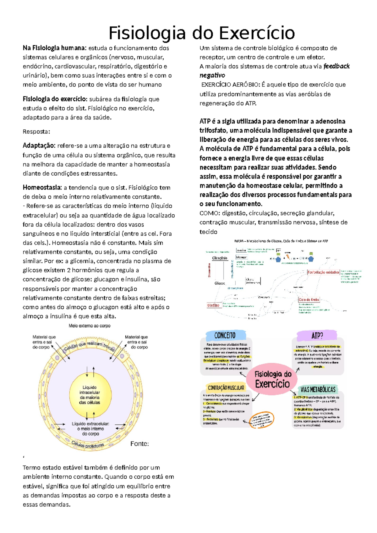 Fisiologia do Exercício - Fisiologia do Exercício Na Fisiologia humana: estuda o funcionamento ...