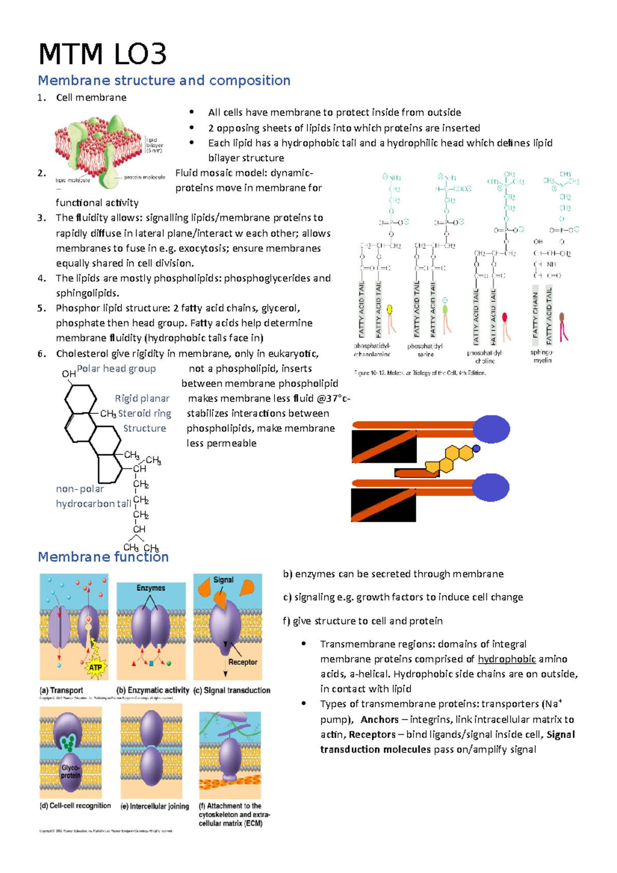MTM LO3 - Lecture notes 3 - CH 2 CH 2 CH 2 CH OH CH CH 3 CH 3 CH 3 CH 3 ...