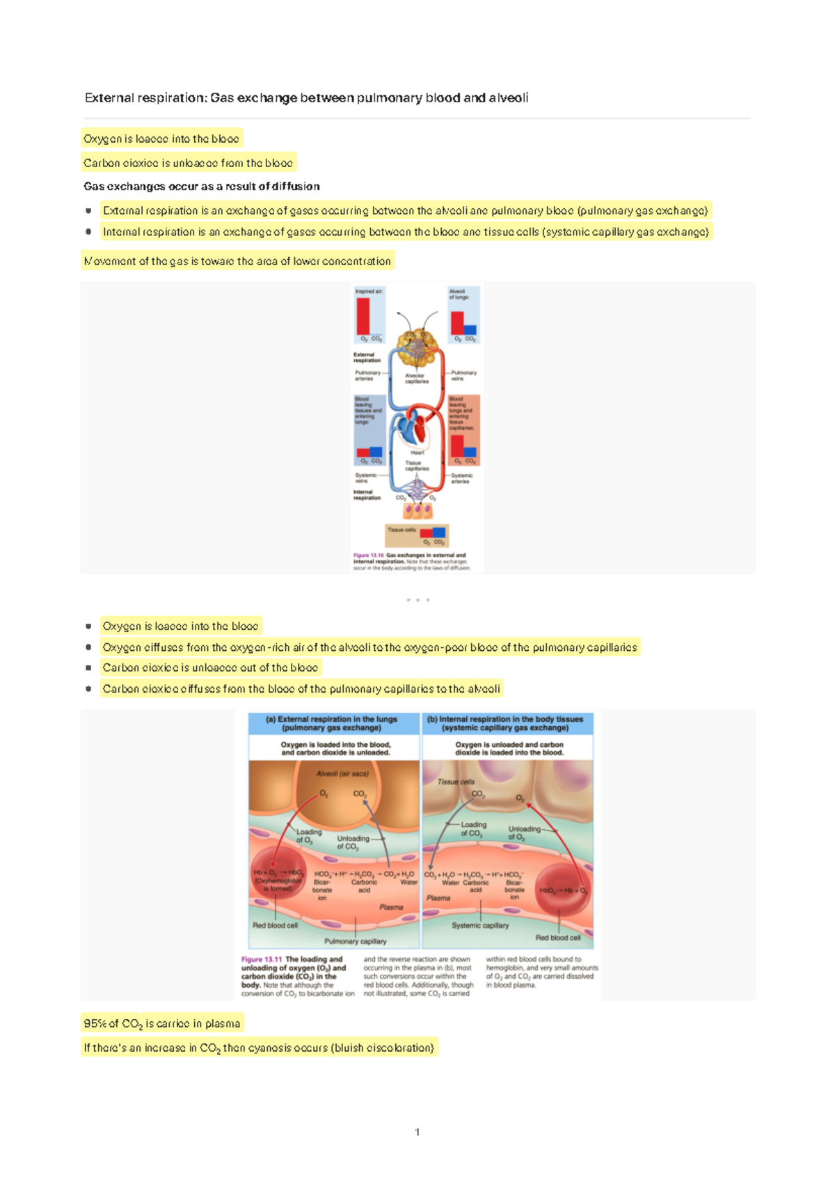 External respiration: Gas exchange between pulmonary blood and alveoli ...