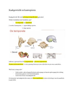 2. Botten en schedel - 2. Anatomie – Botten en schedel Skelet ...