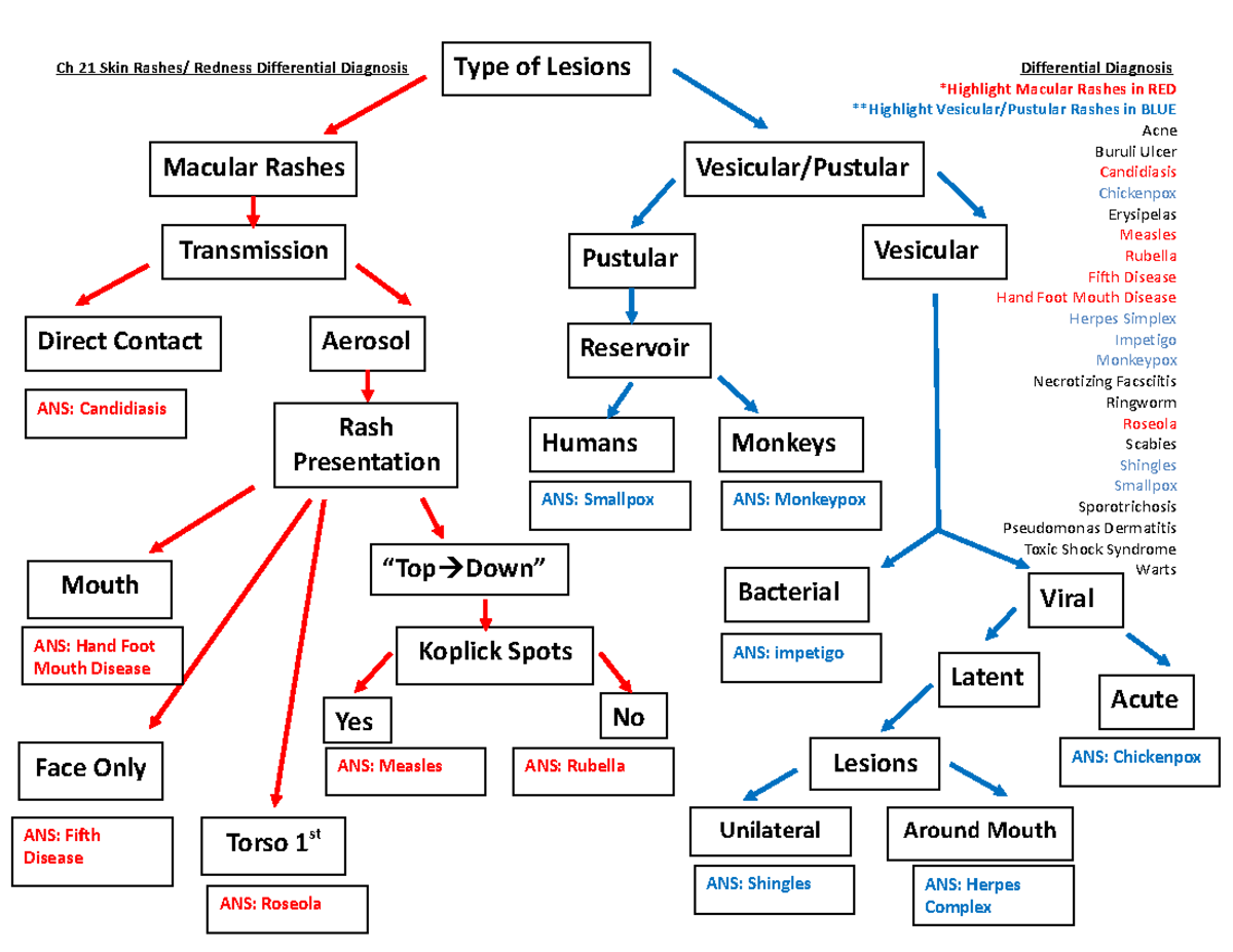 Chapter 21 - Skin Differential Diagnosis - Ch 21 Skin Rashes/ Redness ...
