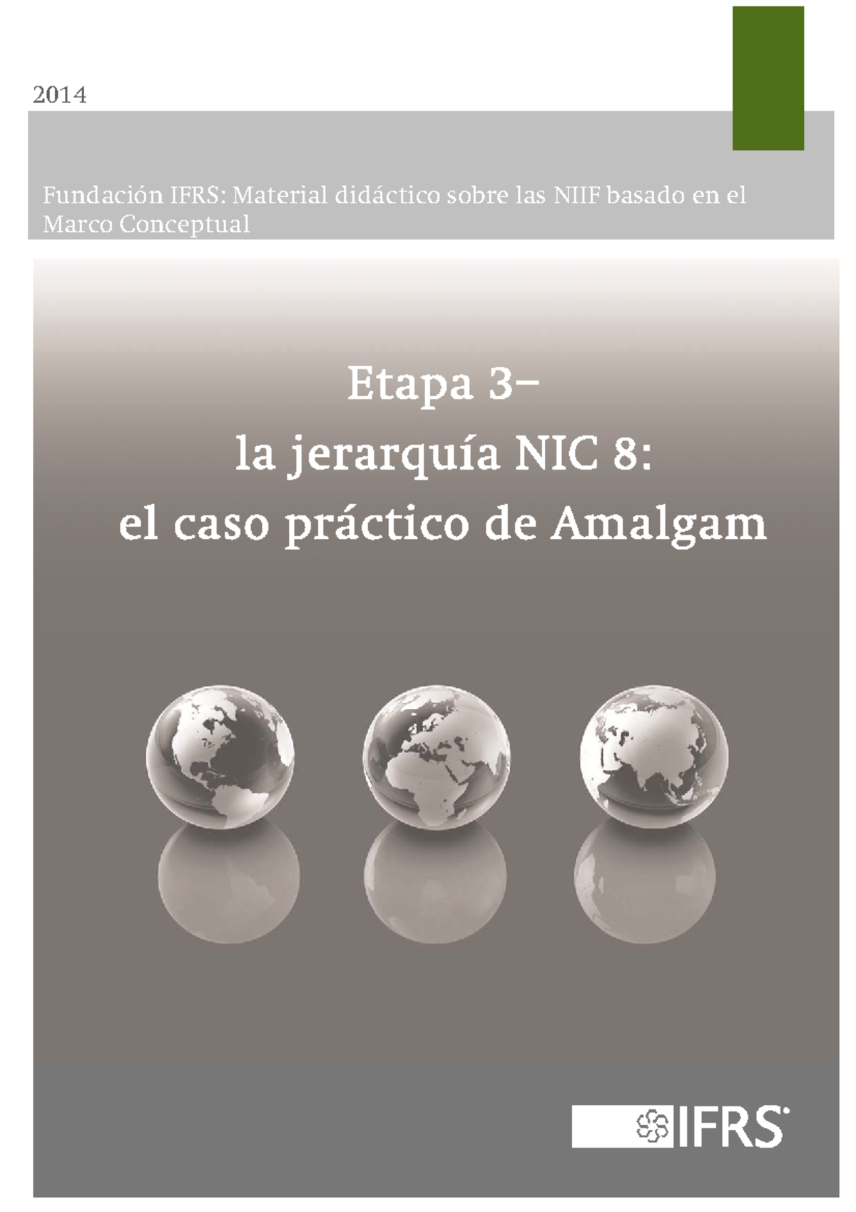Jerarquia NIC 8 - Descripción NIC 8 - 2014 Fundación IFRS: Material ...