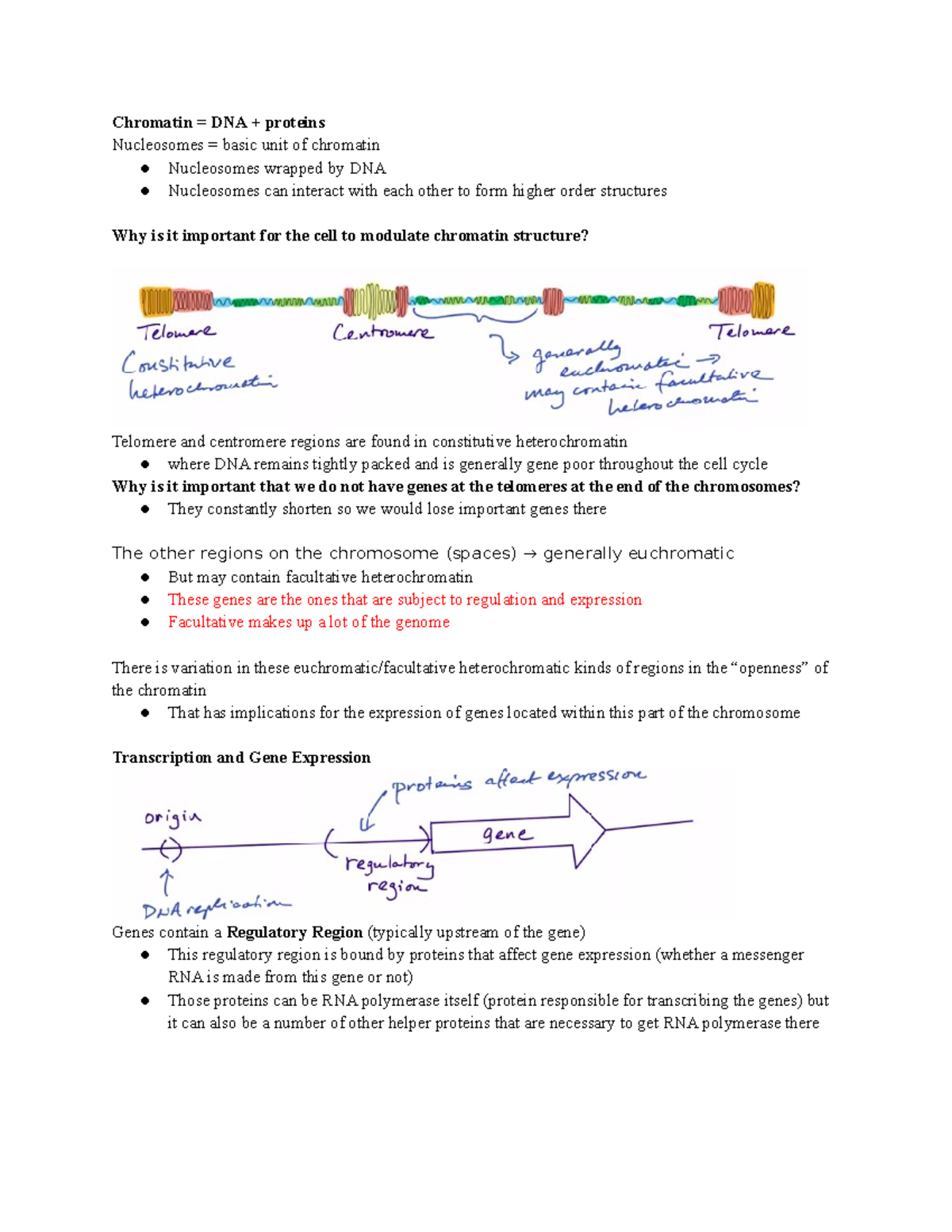 Lecture 23 Chromatin Regulation - Chromatin = DNA + proteins ...