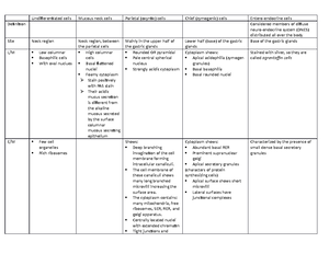 Bone development - In this notes, you will find information about the ...