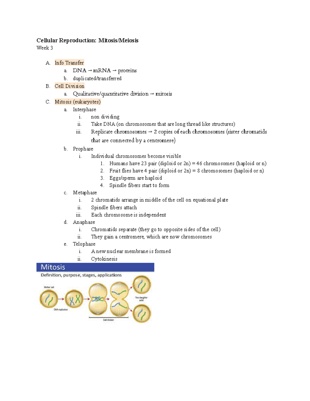 Week 5 - cellular reproduction mitosis meiosis - Cellular Reproduction ...