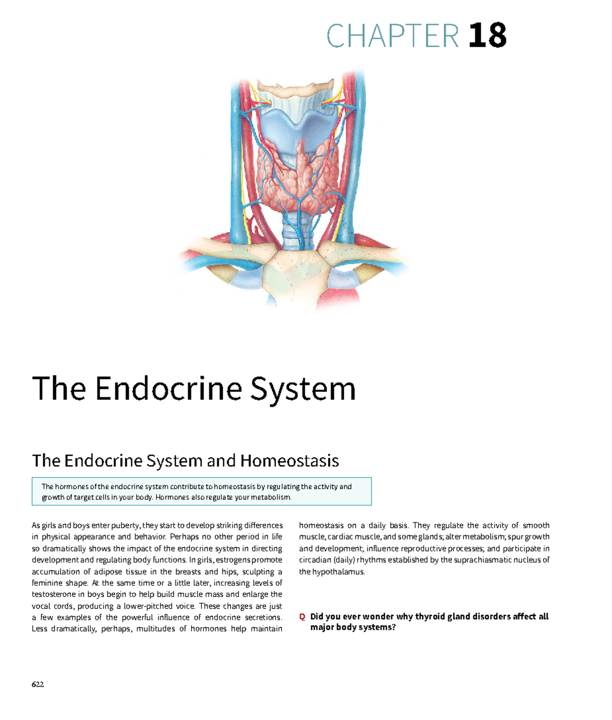 Module 2 - Endocrine system 4th sem - 622 As girls and boys enter ...