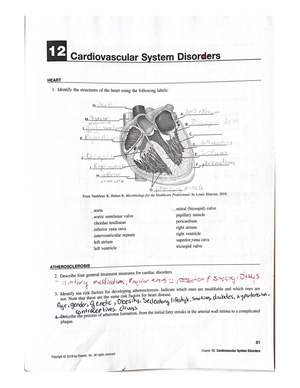 Blood and Circulatory System Disorders questions - NURS1420P - Studocu