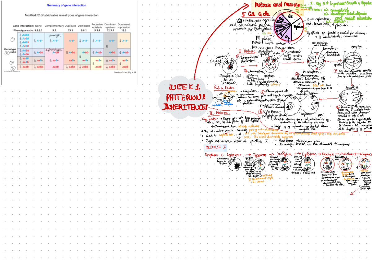 Mindmap-For-Gen2041 - Mindmap summing up some weeks contents - 11 pdf.& sto 04- 5 - & /58 ⑤ ...