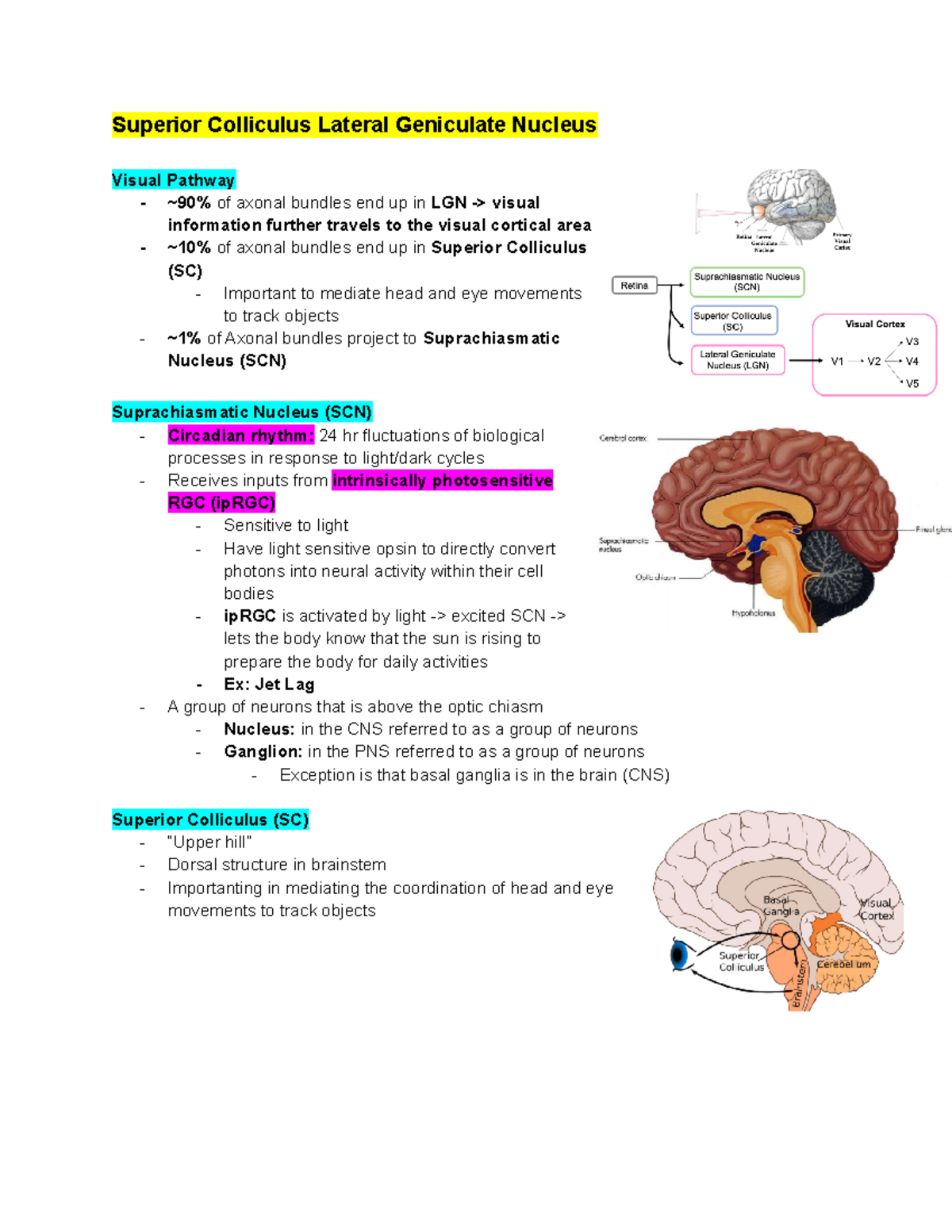 CBNS 106 Lec. 11 - Lecture notes 11 - Superior Colliculus Lateral ...