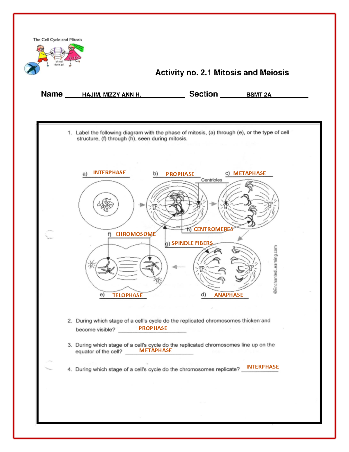 Activity No. 2.1 Mitosis and Meiosis - MED1020 - Activity no. 2 Mitosis ...