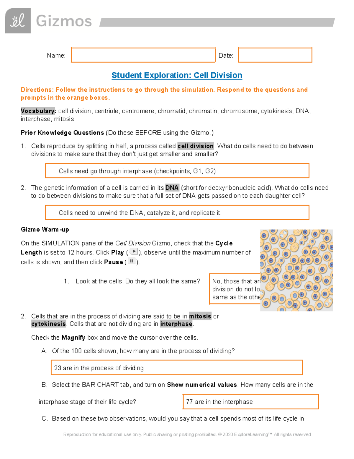 Gizmo - Cell Division - Name: Date: Student Exploration: Cell Division Directions: Follow the ...