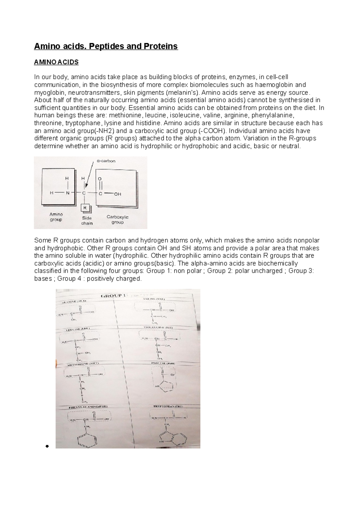 chemistry lab manual amino acids and carbohydrates - Amino acids ...