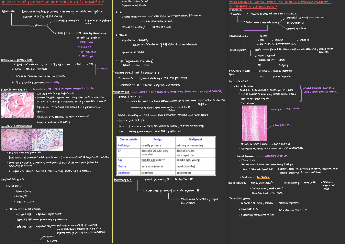 CVS Pathology - Notes - PATHOPHYSIOLOGY OMPLICATION OF IN INCLUDING ...