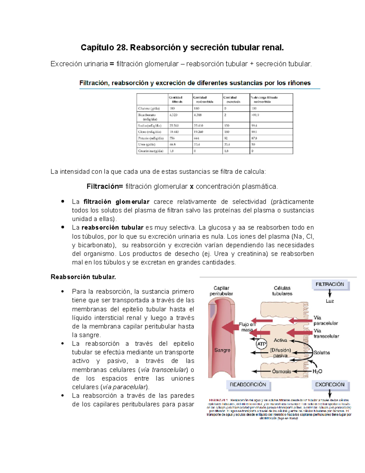 Capítulo 28. Renal - Capítulo 28. Reabsorción y secreción tubular renal ...