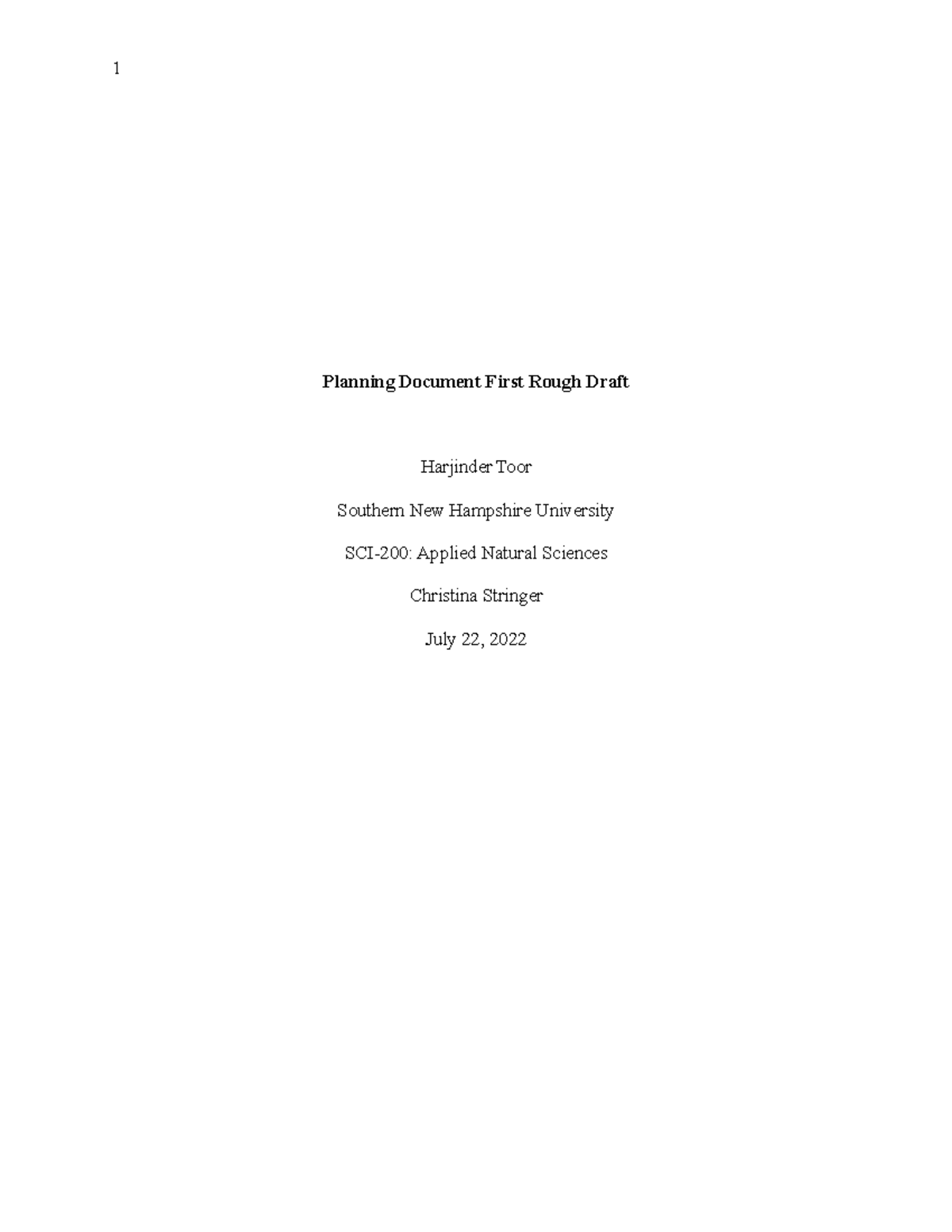 Planning Document First Rough Draft - Planning Document First Rough ...