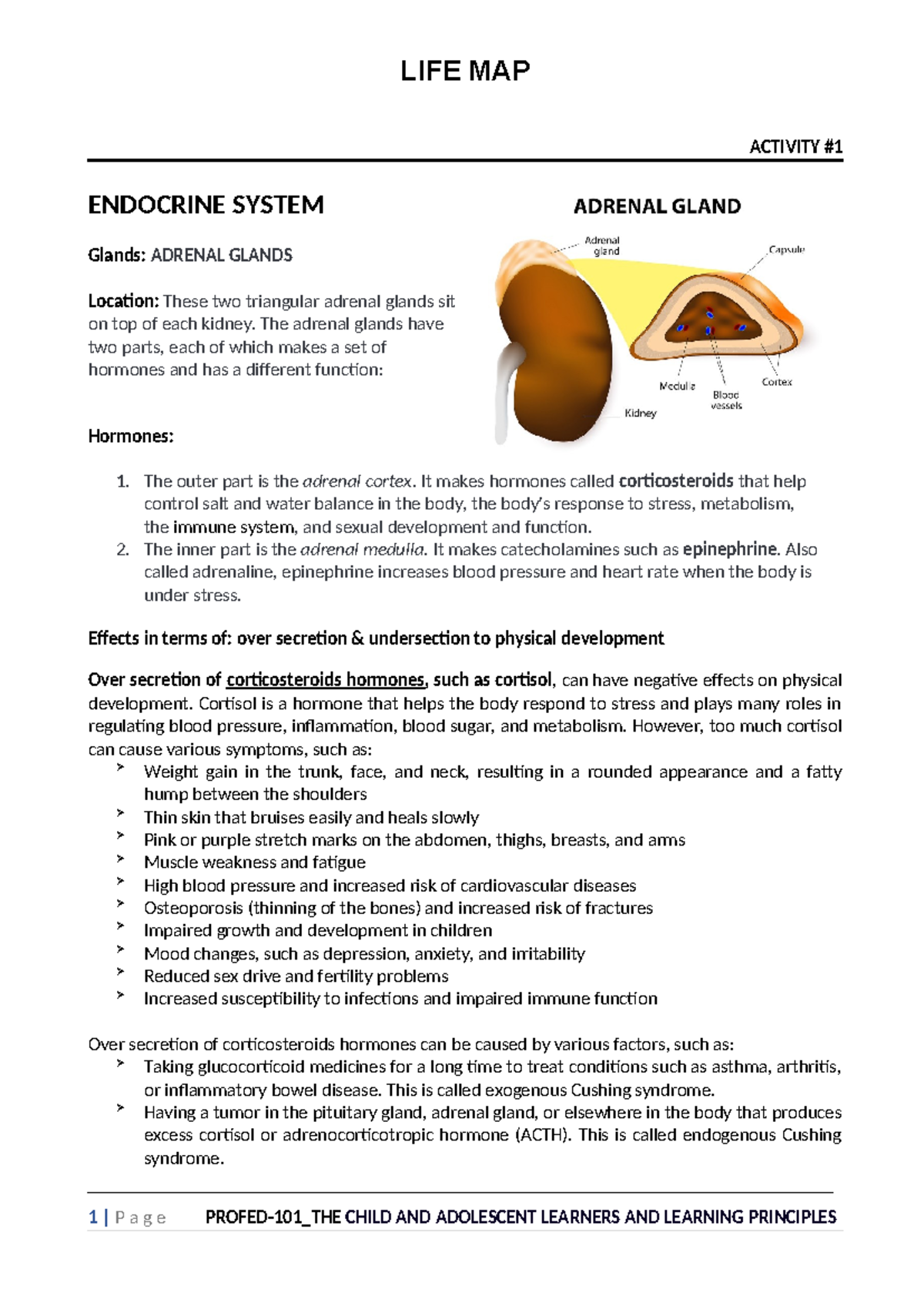 Activity#2 LM Profed 101 - ACTIVITY ENDOCRINE SYSTEM Glands: ADRENAL ...