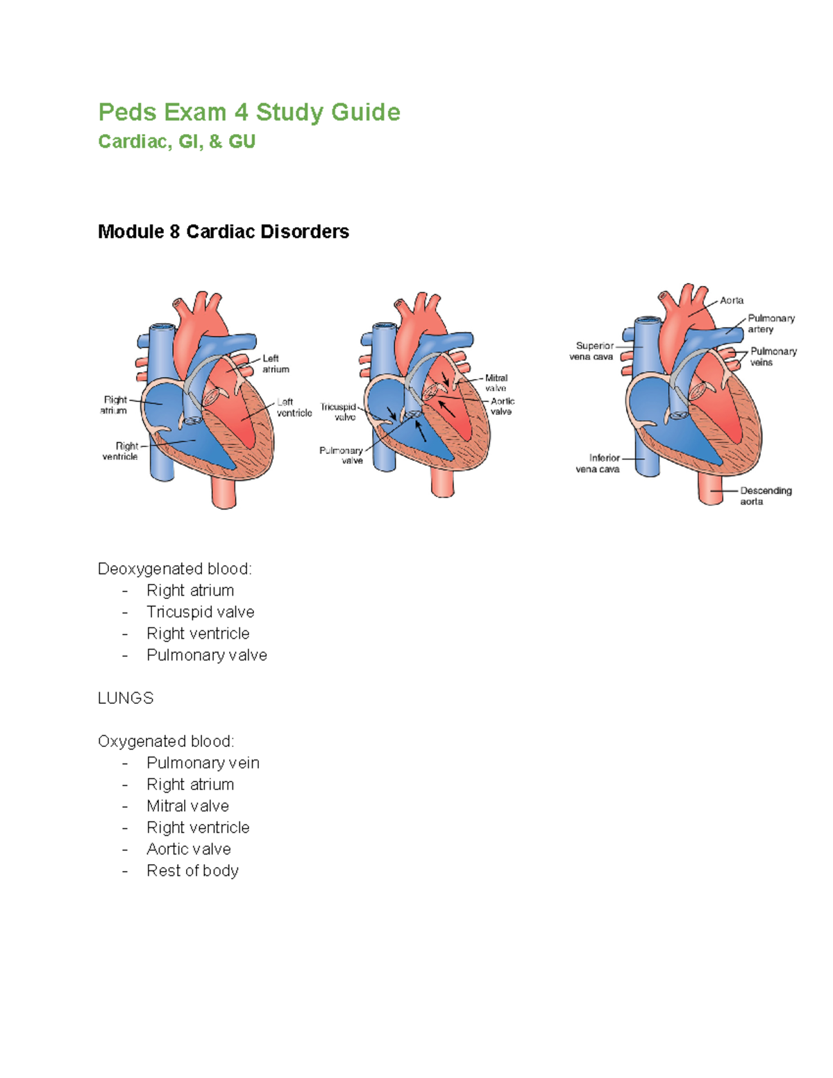 Peds Exam 4 Study Guide - Peds Exam 4 Study Guide Cardiac, GI, & GU Module 8 Cardiac Disorders ...