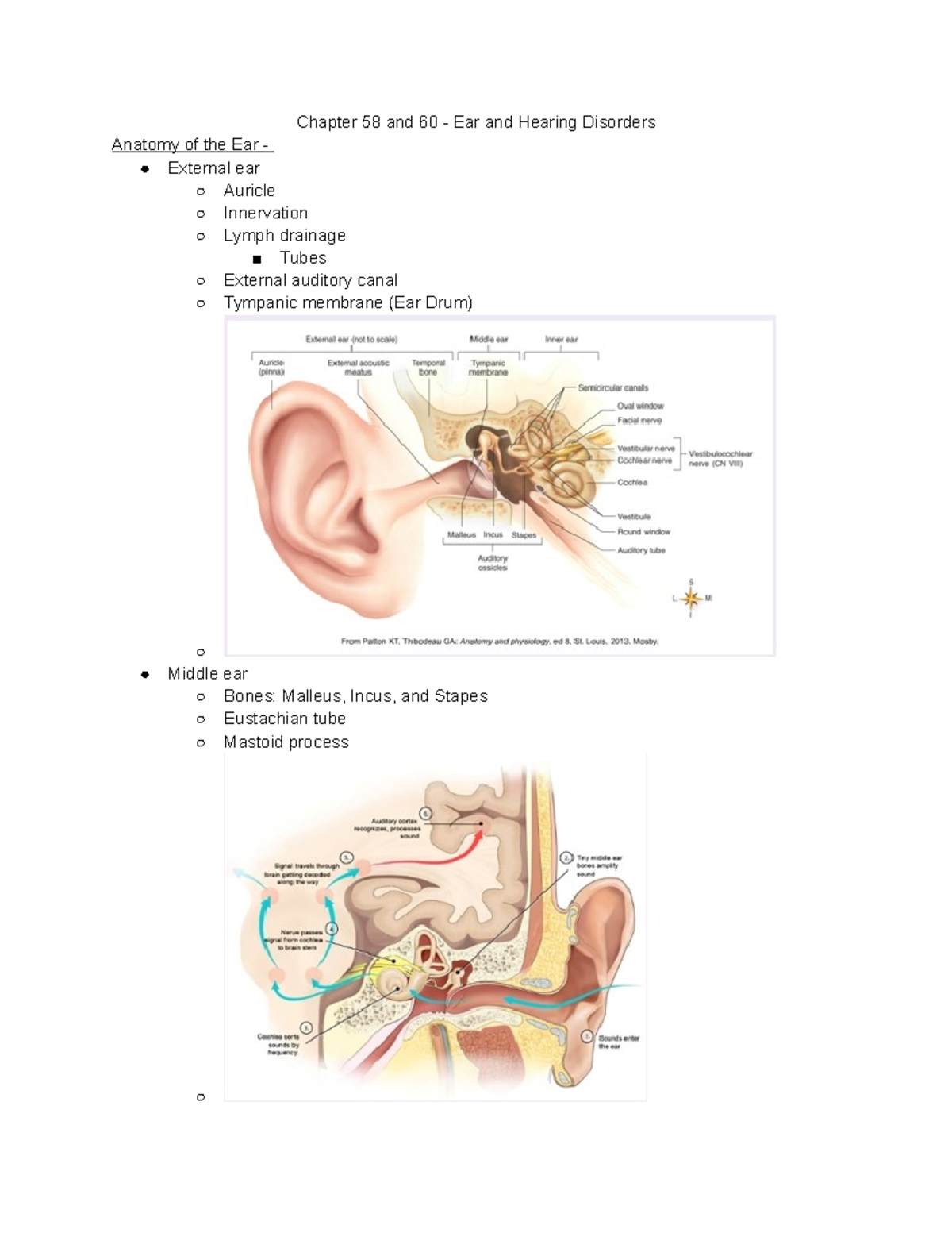 Ears and Eyes - Lecture notes 4 - Chapter 58 and 60 - Ear and Hearing ...