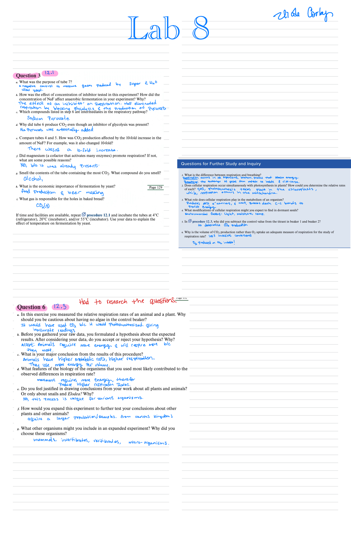 Lab 8 - Lab workbook answers - Lab 8 diode Corbyn A negative control to ...