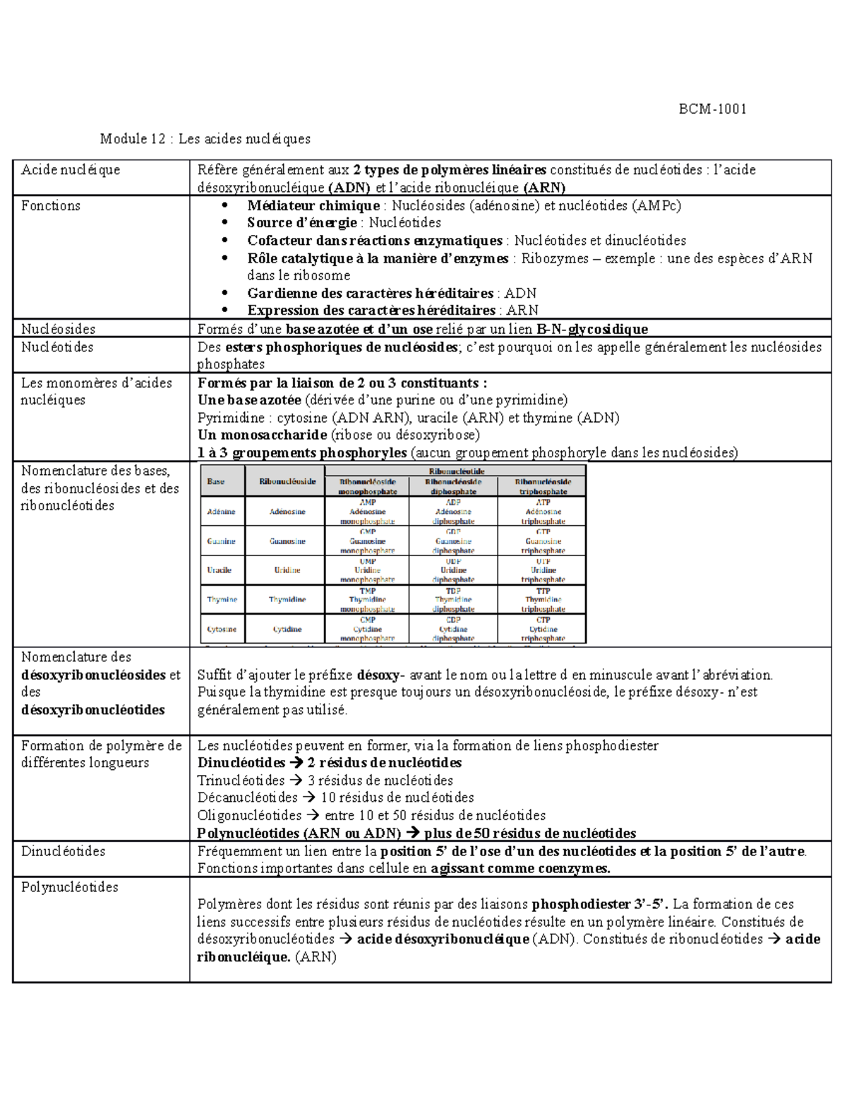 Tableau Module 12 - exam - BCM- Module 12 : Les acides nucléiques Acide ...