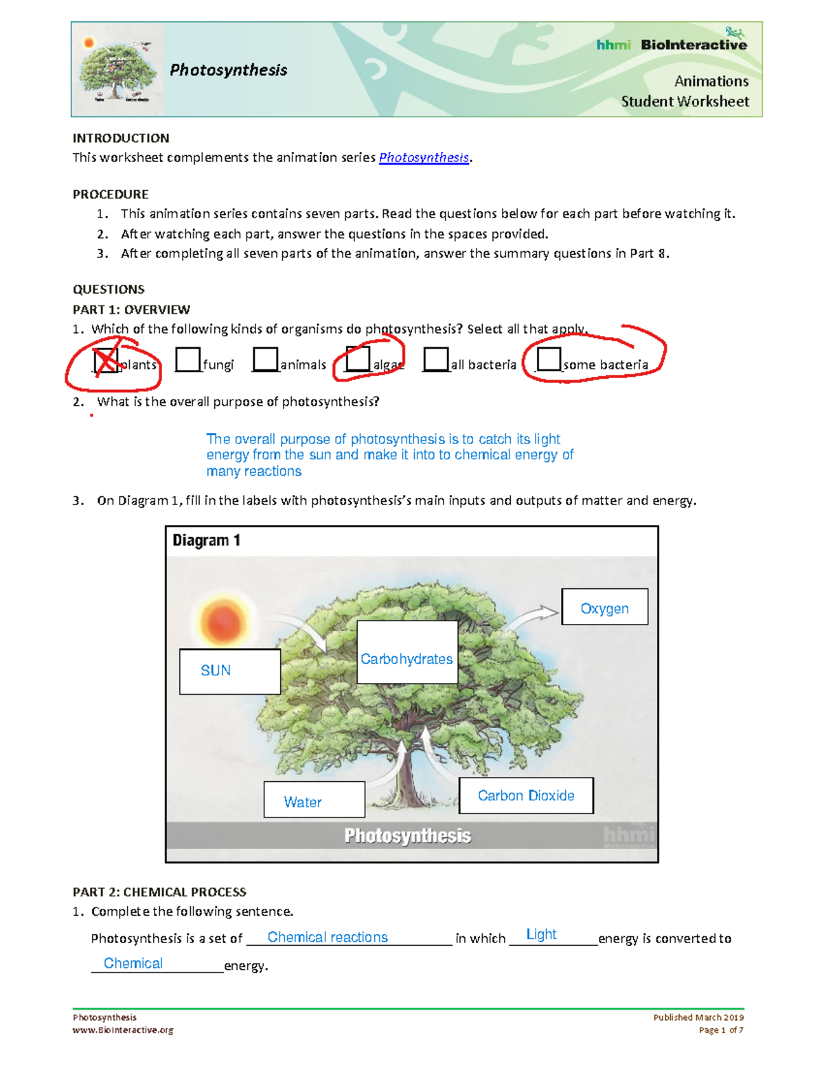 Photosynthesis-Student WS-animation 1 - Photosynthesis Published March ...