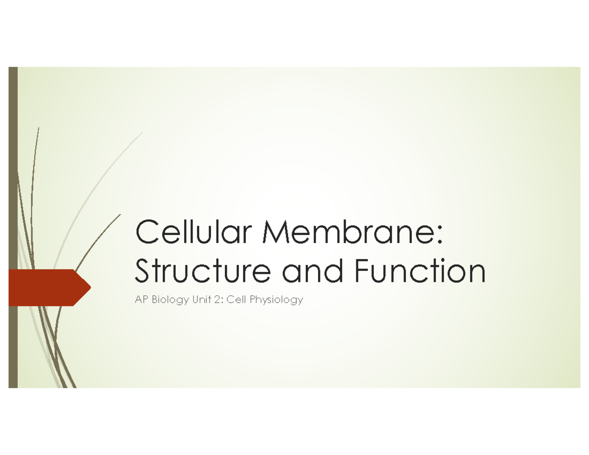 Cell Membrane Structure and Function - Cellular Membrane: Structure and ...