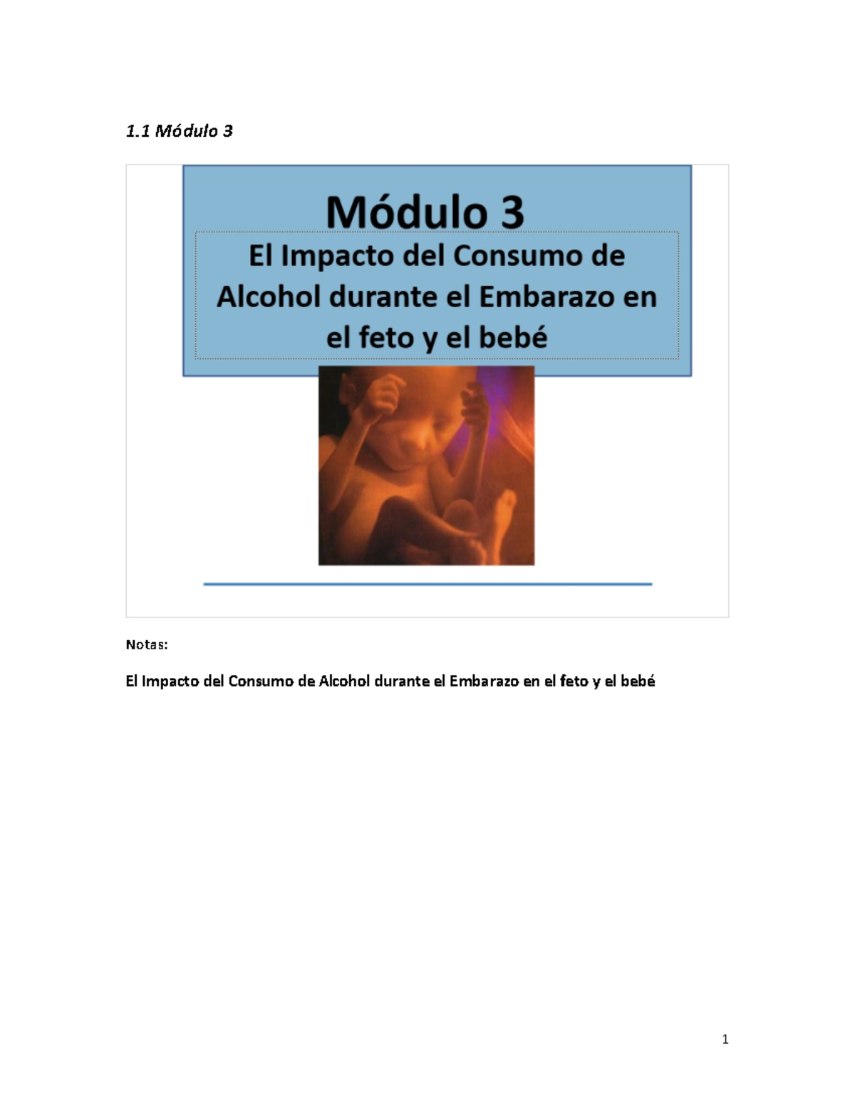Modulo 3 alcohol y embarazo - Warning: TT: undefined function: 32 1 Módulo 3 Notas: El Impacto ...
