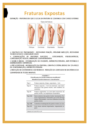 Fraturas Expostas - Compilado de anotações de aulas e livros - FRATURAS ...