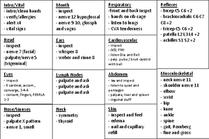 Pertinent Positives and Negatives - Pertinent Negatives and Positives ...