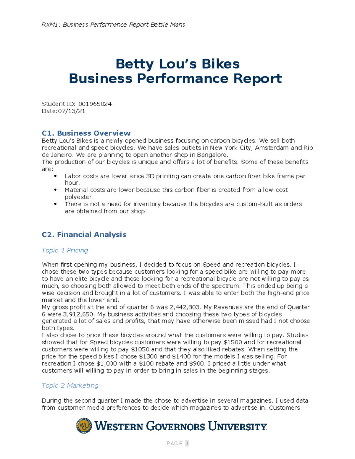 Business Performance Report Template - RXM1: Business Performance ...