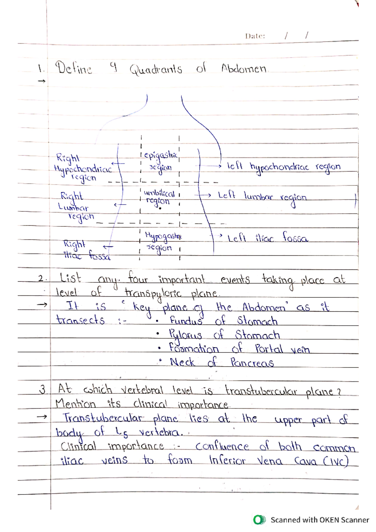 Abdomen - Question - Date: 1. Define 9 Quadrants of Abdomen Right ...
