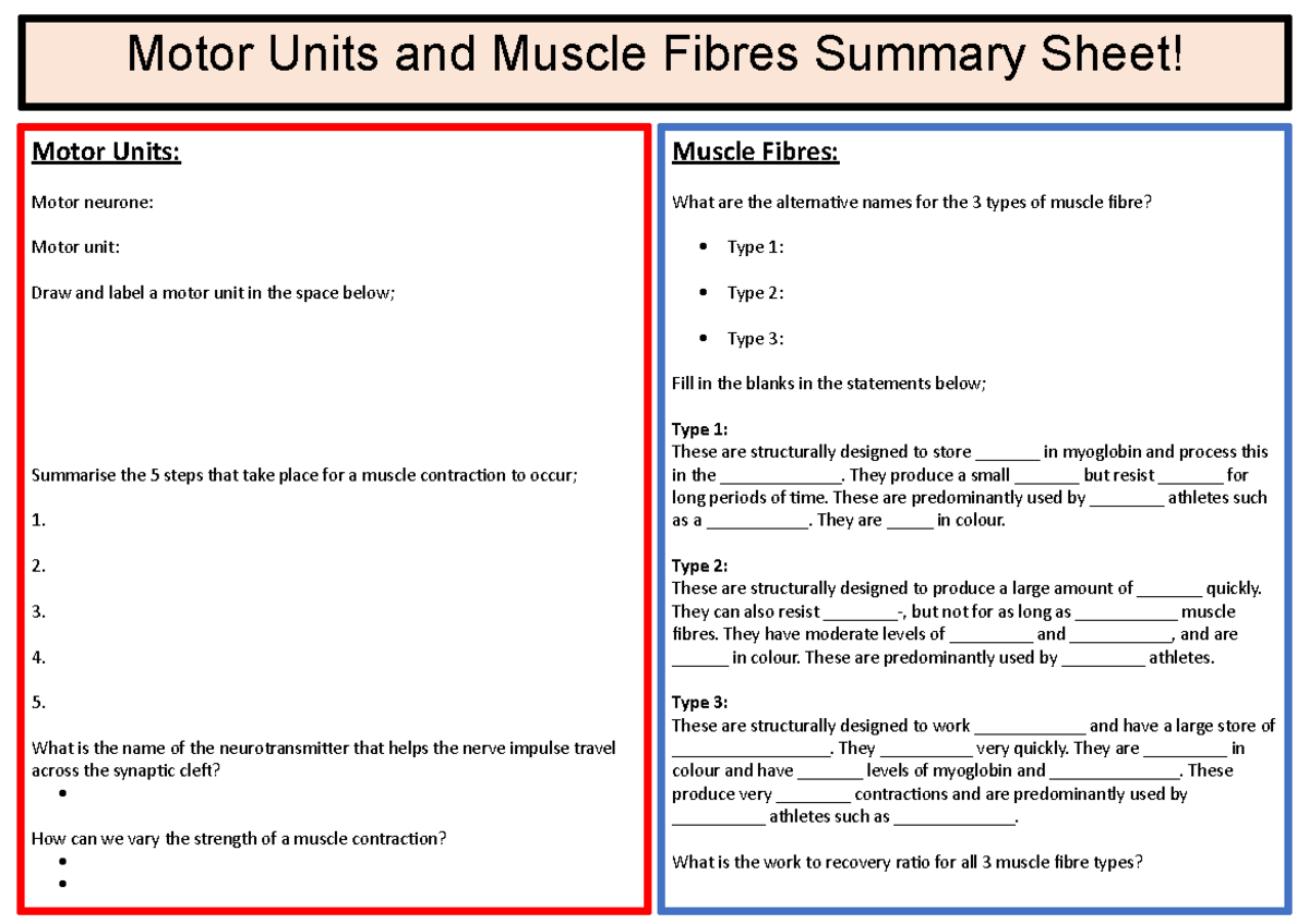 Motor unit summary sheet - Motor Units and Muscle Fibres Summary Sheet ...