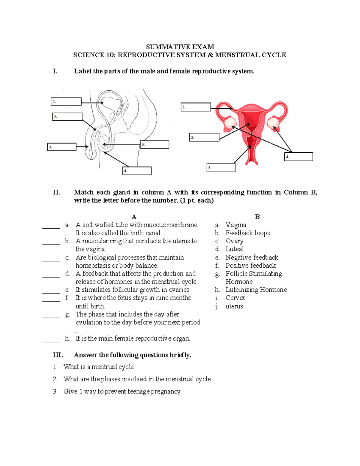 Summative EXAM- Reproductive AND Menstrual Cycle - SUMMATIVE EXAM ...
