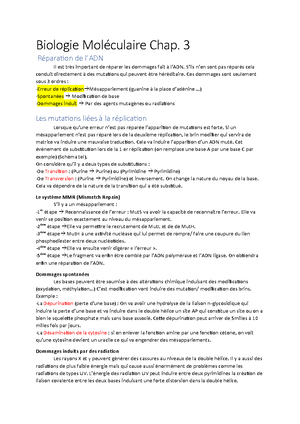 biologie moléculaire - UE : OMM ECUE : BIOLOGIE MOLÉCULAIRE La ...