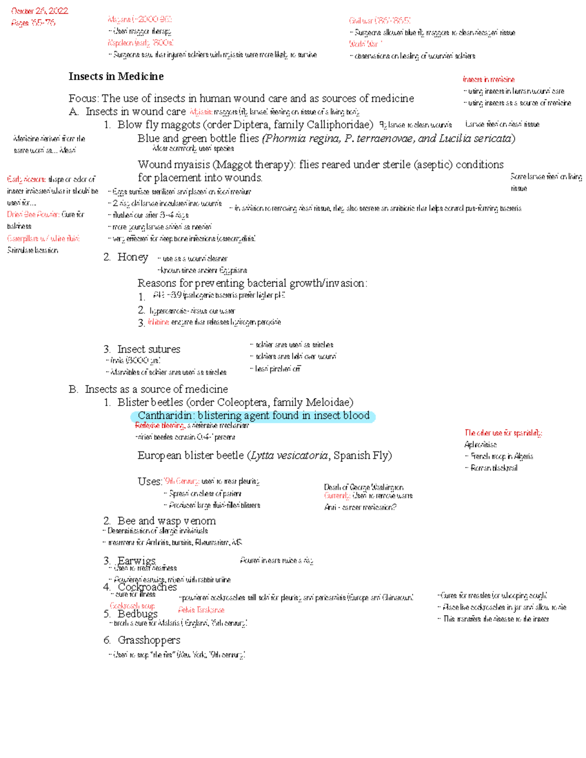 Insects In Medicine 10 26 - Insects in Medicine Focus: The use of ...