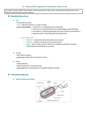 2. Buňka - Maturitní otázka do biologie - 2. Buňka Prokaryotická buňka ...