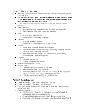 Chapter 6 Study Guide Answers - Warning: TT: undefined function: 32 Answers to Chapter 6 Study ...